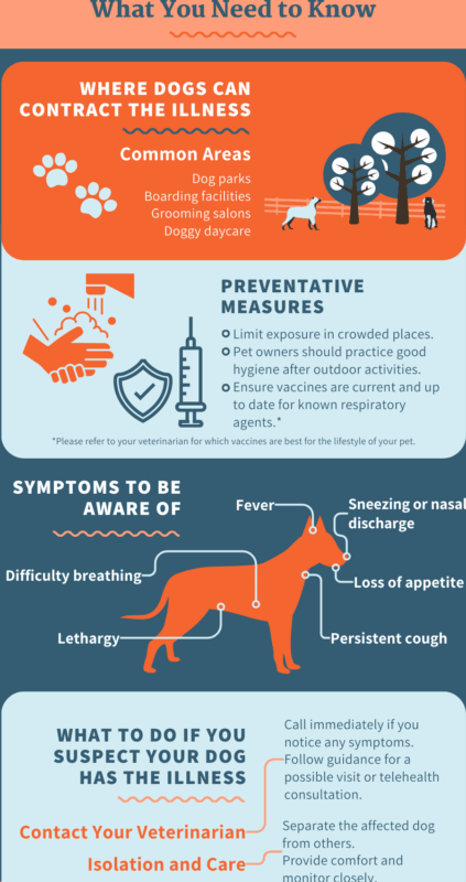 PROBLEMAS RESPIRATORIOS EN PERROS: TIPOS y TRATAMIENTO Efectivo
